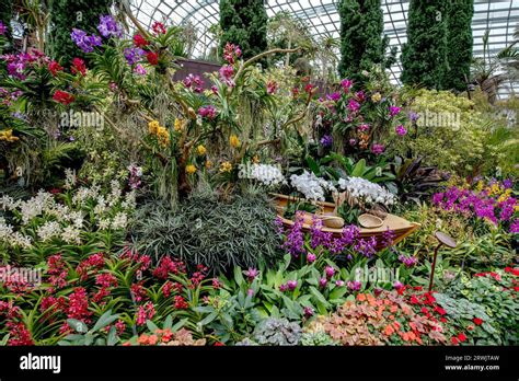 The Flower Dome At Gardens By The Bay In Singapore The Orchid