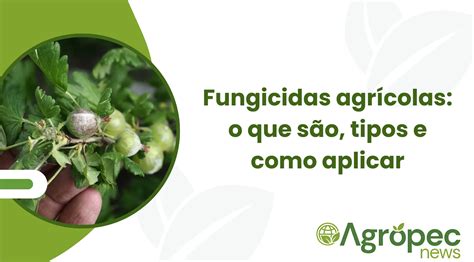 Fungicidas Agrícolas O Que São Tipos E Como Aplicar
