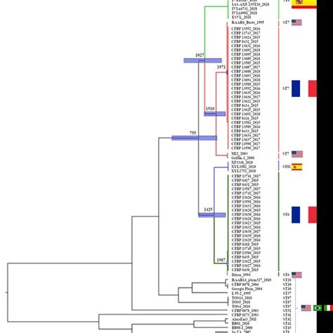 Phylogenetic Tip Dated Tree Showing The Estimated Divergence Date Download Scientific Diagram