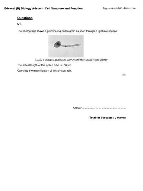 21 Cell Structure And Function Pdf Cell Biology Bacteria