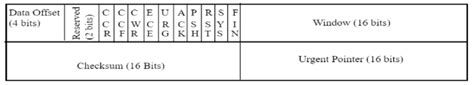 a portion of the tcp header with suggested modification download