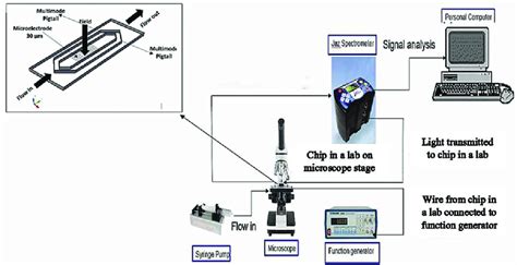 Experimental Setup For Integrated Lab On Chip Download Scientific