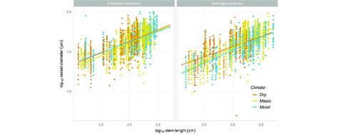 Linear And Positive Relationships Between Stem Length And Stem Base Download Scientific