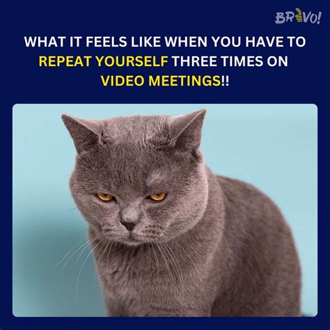 30 Funny Motivational Memes For Work Meetings