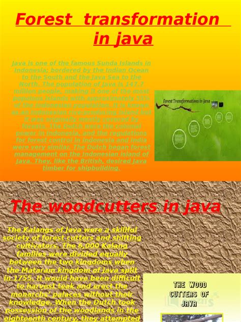 Forest Transformation In Java Pdf Java Forests
