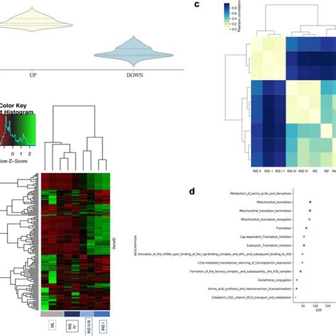 Differential Gene Expression Deg And Reactome Pathways Analysis