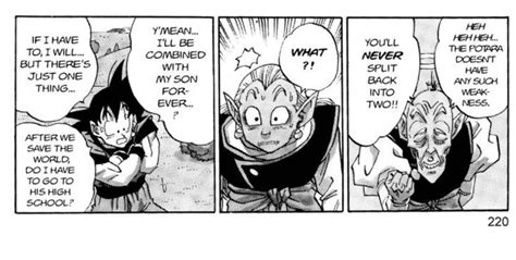 If Goku Had Fused With Gohan Would The Fusion Be Chi Chis Husband Or Son Rtwobestfriendsplay