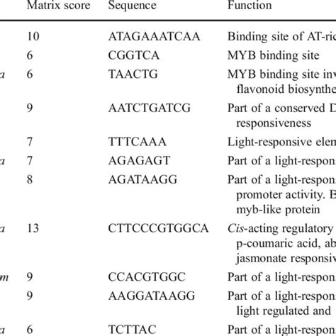 Summary Of The Function Prediction Of Cis Acting Elements Identified In