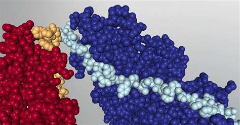 Jamie Mccormack On Linkedin A Year In Review Breakthroughs In Cancer Cell Research With Cryo