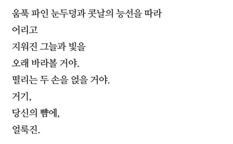 한강 노벨 문학상 대박 나의 한강 최애 시 공개내 장례식에 걸어두고픔twt 인스티즈instiz 이슈 카테고리