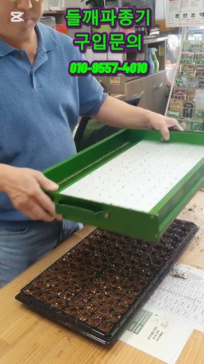 들깨파종기 사용방법 들깨파종 대파파종 참깨파종까지 가능 Youtube