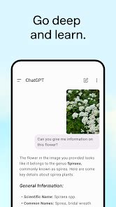 ChatGPT Apps On Google Play
