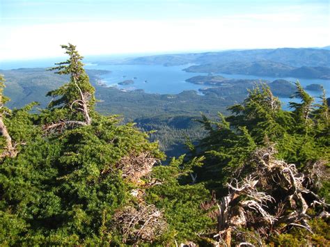 The 15 Best Things To Do In Daajing Giids 2025