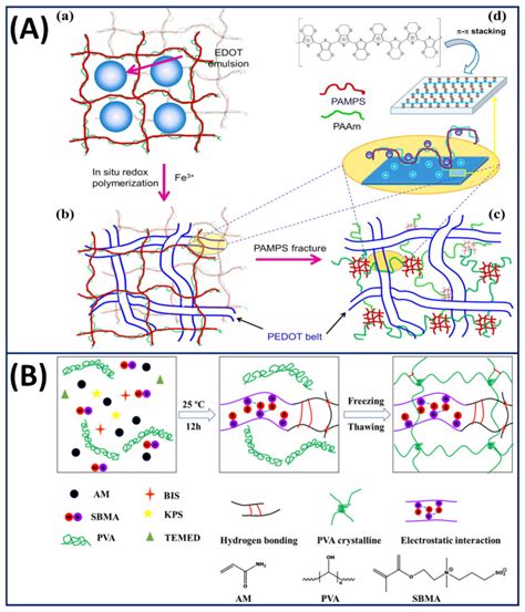 Polyelectrolyte Gels Fundamentals Fabrication And Applications Pmc