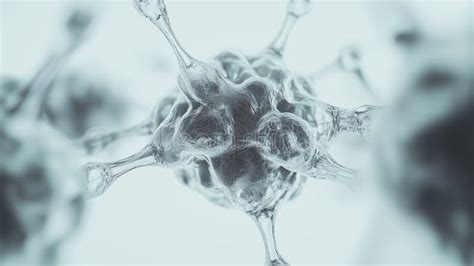 Close Up View Of Microscopic Cells Showcasing Intricate Details And