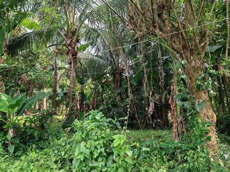 Laureen Grace Laureen Grace Added A New Photo