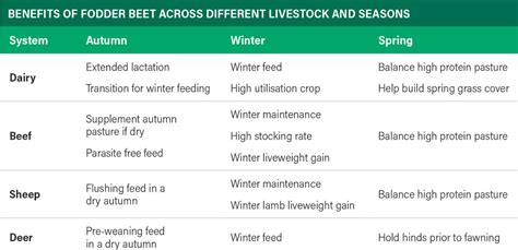 Fodder Beet Management Advice Agricom
