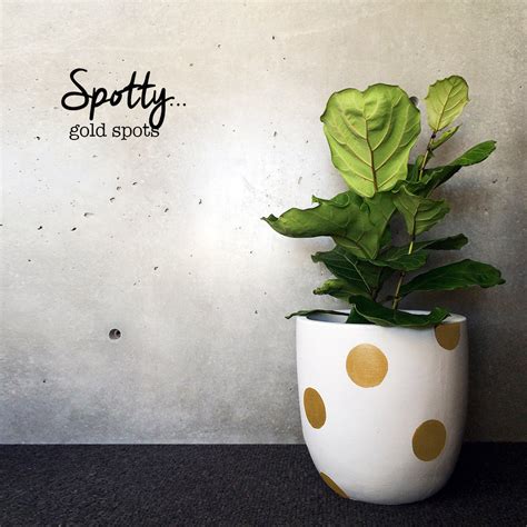 Dot Pot D E S I G N T W I N S