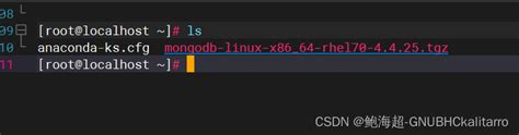 Linux：mongodb数据库源码包安装（4425版本）liunx 安装mongo源码 Csdn博客