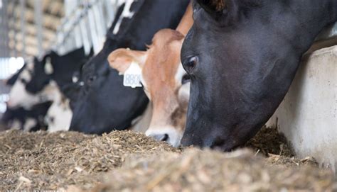 Mohammad Alkhateeb On Linkedin Interesting To Read Eng Kheir Jarrah