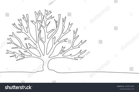Tree Drawing Without Over 2239 Royalty Free Licensable Stock Vectors