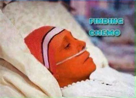 Finding Chemo Rtrailerclub