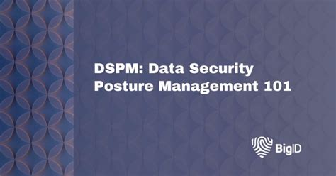 What Is Dspm Data Security Posture Management 101 Bigid