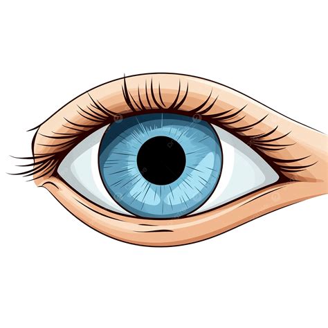 Ojos De Dibujos Animados Gratis Png Png Dibujos Ojos De Anime Cara De