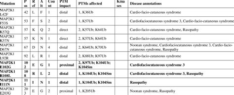 Mutations In Map2k1 That Affect Ubiquitination And Sumoylation