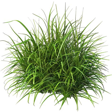Grass Top View Pngs For Free Download