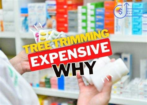 Why Is Viberzi So Expensive[12 Most Common Reasons]