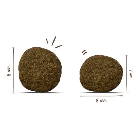 Bosch Welpenfutter Puppy 75 Kg Günstig Kaufen Bei Zooroyal