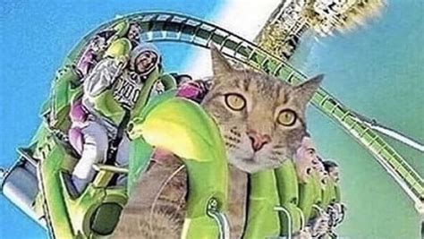 Mr Ho Mr Not Null On Tumblr