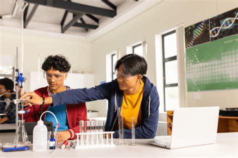 Leiden Science Summer Schools Summer Schools In Europe