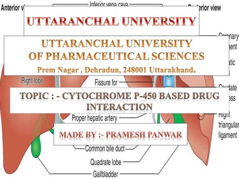 Cytochrome P 450 Based Drug Interactionpptx