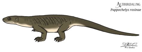 Pappochelys Rosinae By Ognimdo2002 On Deviantart