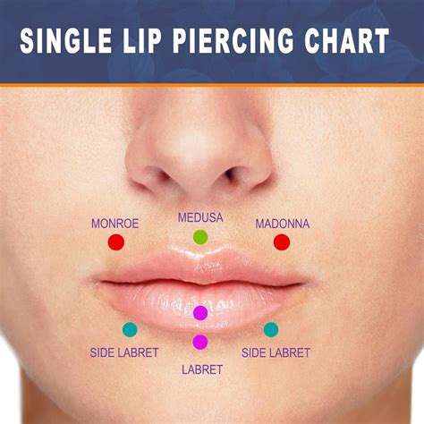 Lip Piercings Chart Lip Piercing Your Guide To Choosing The Perfect