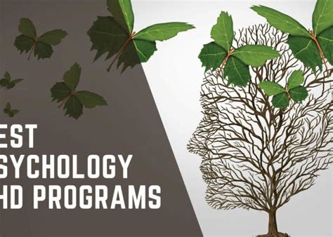 The Top 10 Easiest Phds Tuition Duration And Financial Aid