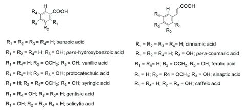 Phenolic Acids Examples Of Hydroxybenzoic And Hydroxycinnamic Acids