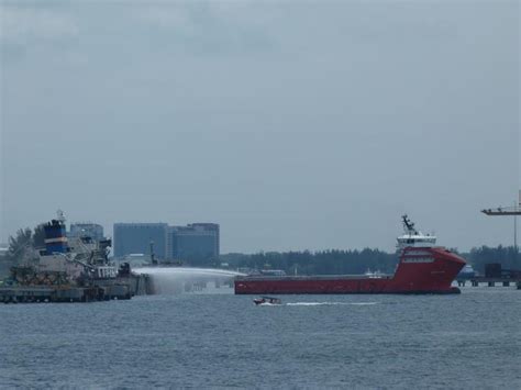 ♥ohh Aien Here♥ Mt Bunga Alpinia