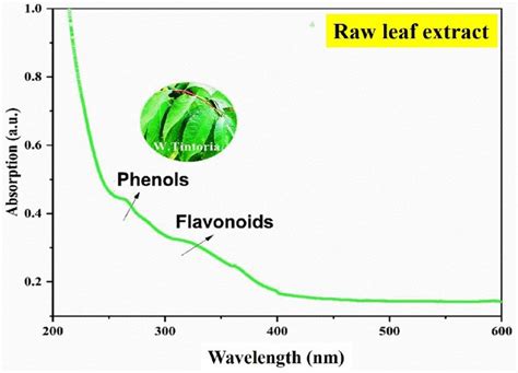 Uvvis Absorption Spectra Of Raw Leaf Extract Download Scientific Diagram