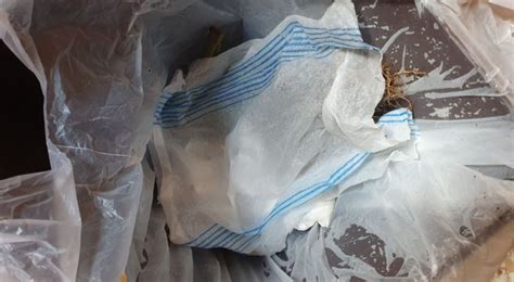 Tempo Di Passare Laspirapolvere Dimenticati Di Un Piccolo Fastidio