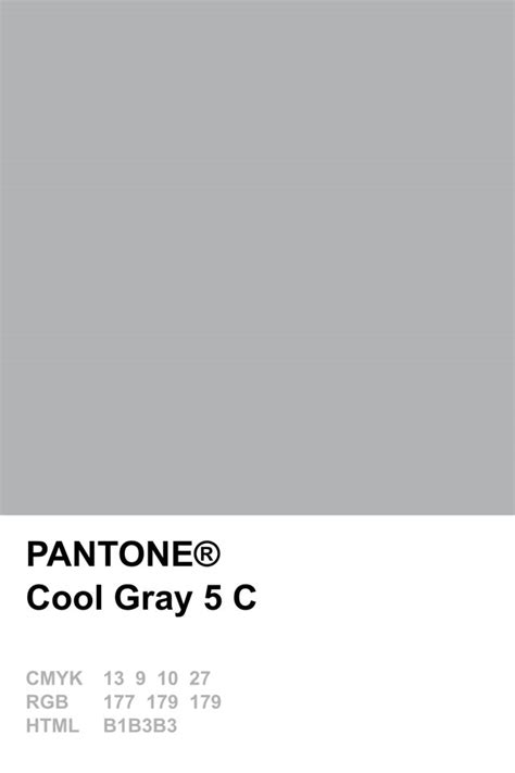 Pantone Cool Gray 5 C