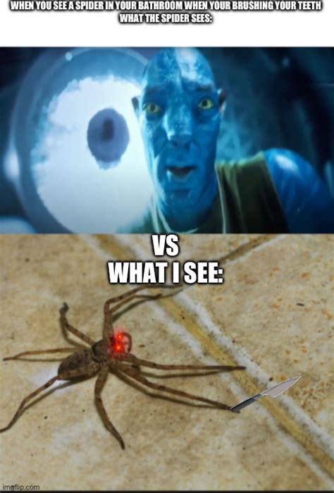 Oh No The Spider Is Gonna Chop My Toes Off And Eat Them Imgflip