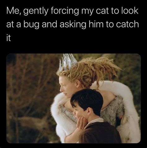 Forty Entertaining Memes To Satisfy All Your Comedy Needs Artofit