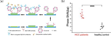 A Schematic Of Exosome Detection Process By A Double Antibody