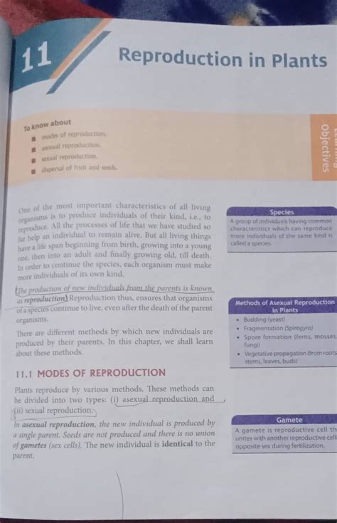 Modes Of Reproduction Asexual Reproduction Sexual Reproductiond