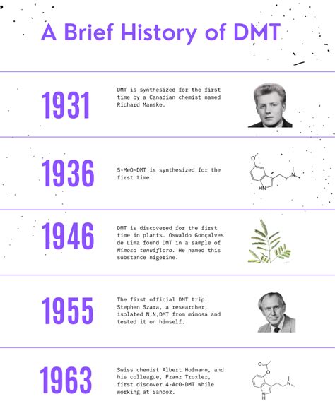 What Is Dmt The Spirit Molecule Tripsitter