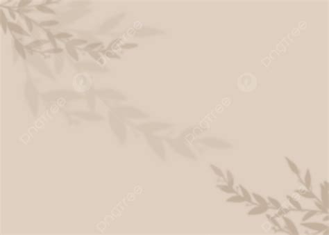 벽에 잎의 아름 다운 그림자입니다 그림자 빛 조명 배경 일러스트 및 사진 무료 다운로드 Pngtree