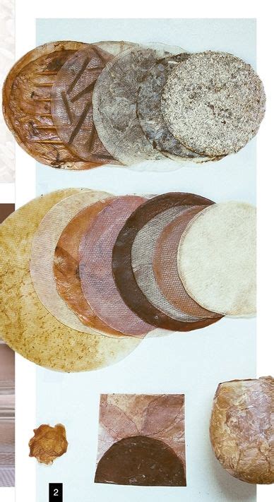 Eco Friendly Bioplastic Design